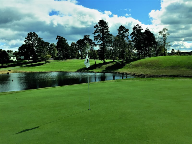 3 Golf wedges or fairway woods? | Hello Birdie Golf